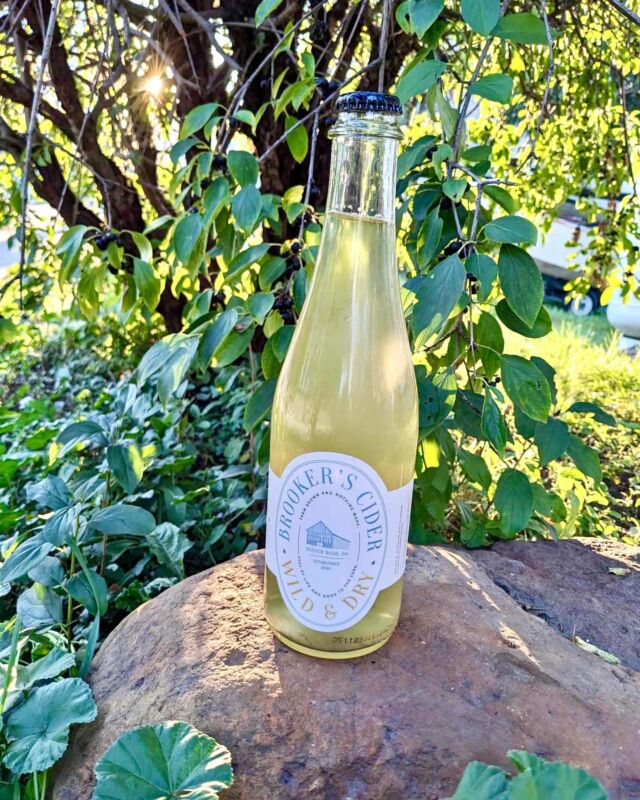 Tawse Sparkling Cider - The Cider Crate